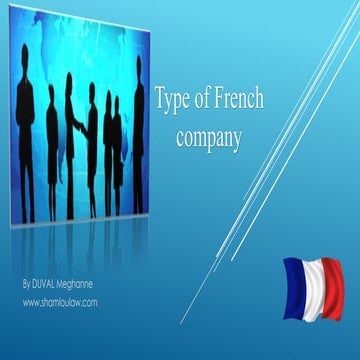 Type of companies in France | PPTX
