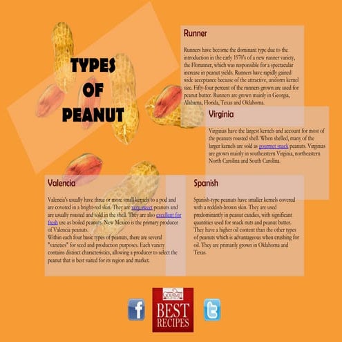 Type of peanuts | PPT