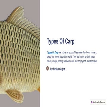 Types Of Carp 11111111111111111111111111 | PPT