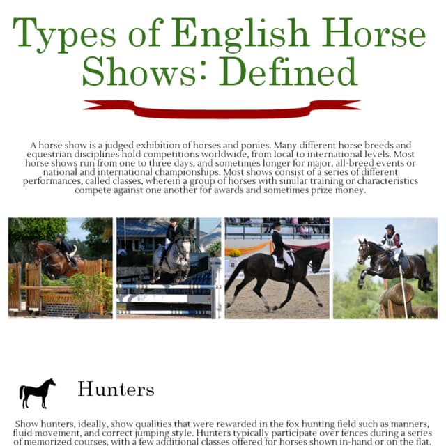 Types of English Horse Shows: Defined | PDF
