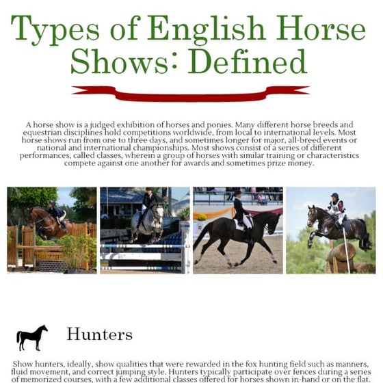 Top Horse Breeds and Disciplines Defined | PDF