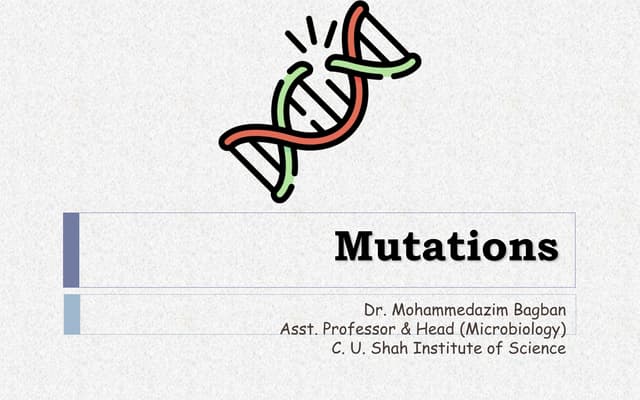 Nucleic acids | PDF