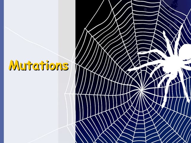 Electricity and Circuits for Grade 9 students | PPT