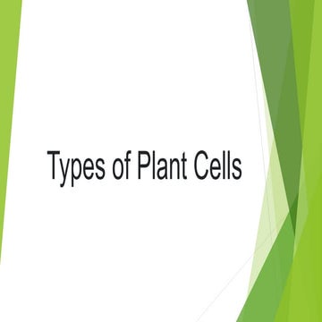 Types-of-Plant-Cells-animal-cells.pptx