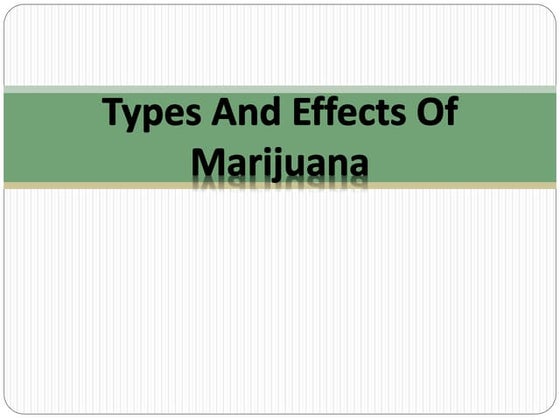 The Purple Gihad Cannabis Strain Review | PDF