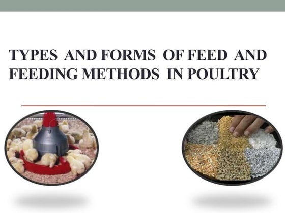 Unit 16 Classification of feed stuff.pptx