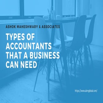 Types Of Accountants That A Business Can Need | PDF