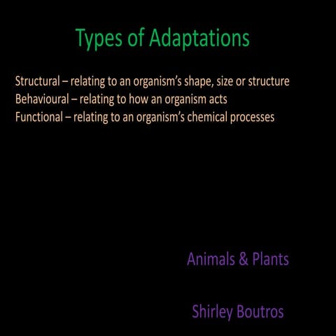 Types of adaptations - animals & plants | PPTX