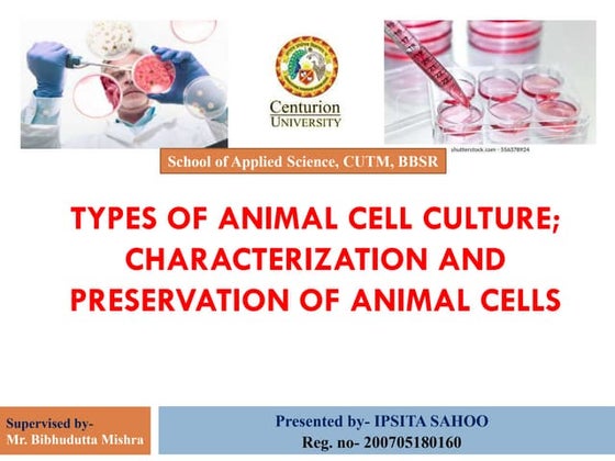 Types of cell culture | PPTX