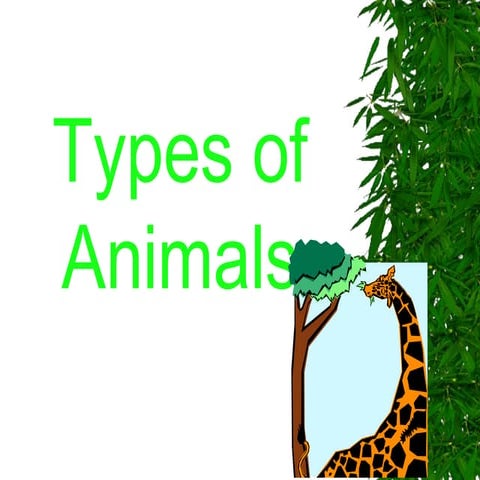 Types of animals | PPT