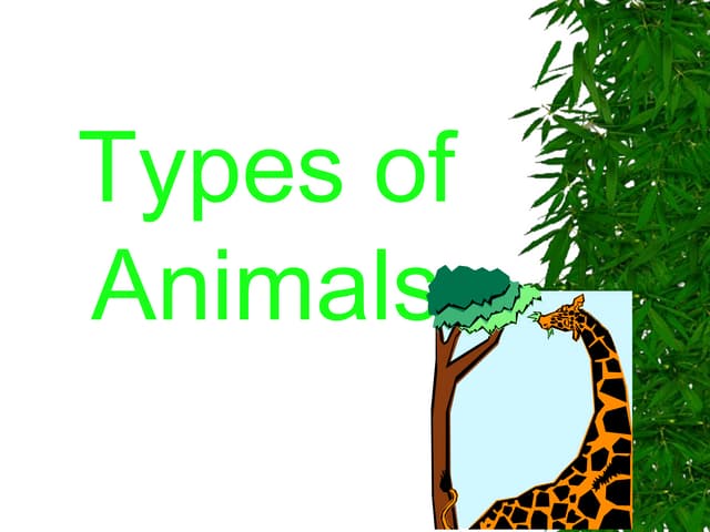 Different types of Animals | PPTX