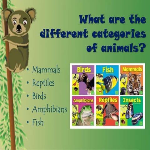 Types of animals | PPT