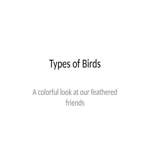 Types_of_Birds_Presentation for reviewer.pptx