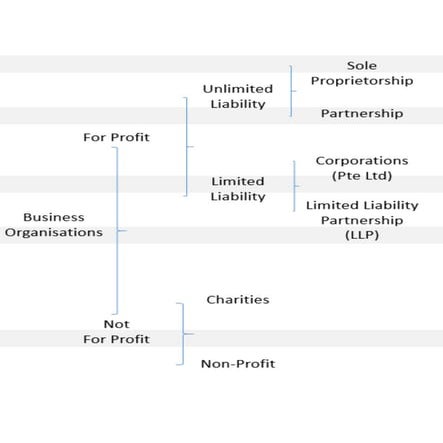 Types of Business Organisations | PDF