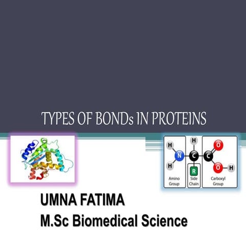 TYPES OF BONDs IN PROTEINS.ppt by UMNA FATIMA- BIOMEDx | PPTX