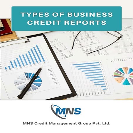 Types Of Business Credit Reports - by MNS Credit Management Group | PDF