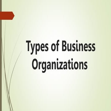 Types of Business Organisation.pptx