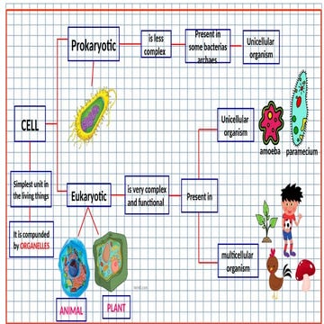 types of cells characteristics 5th grade | PPT