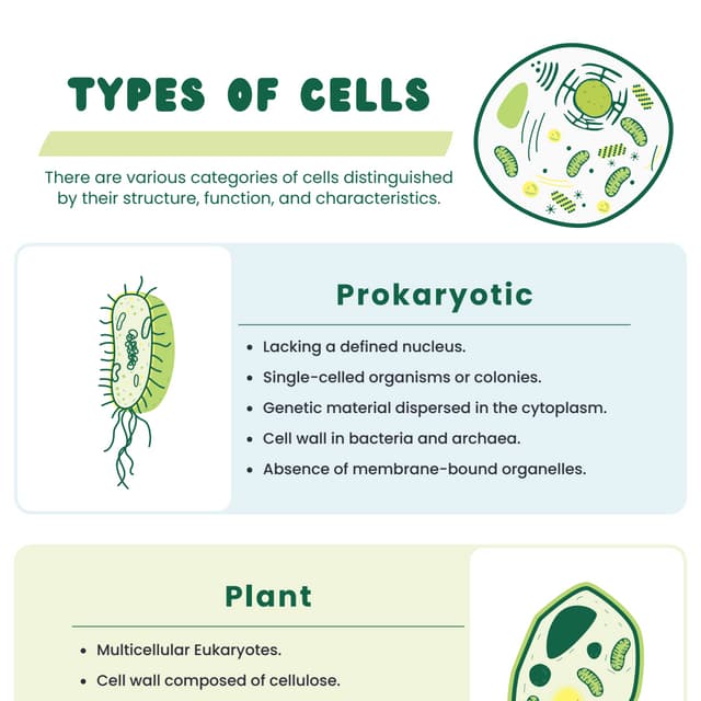 Types of Cells - Poster | PDF