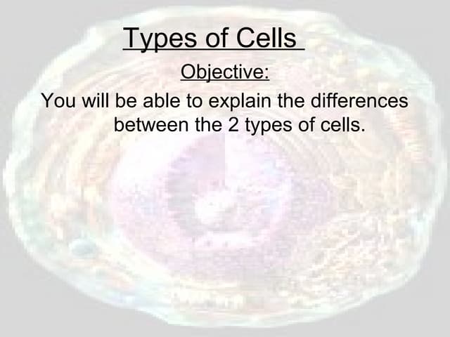 Types of cells notes ppt | PPTX