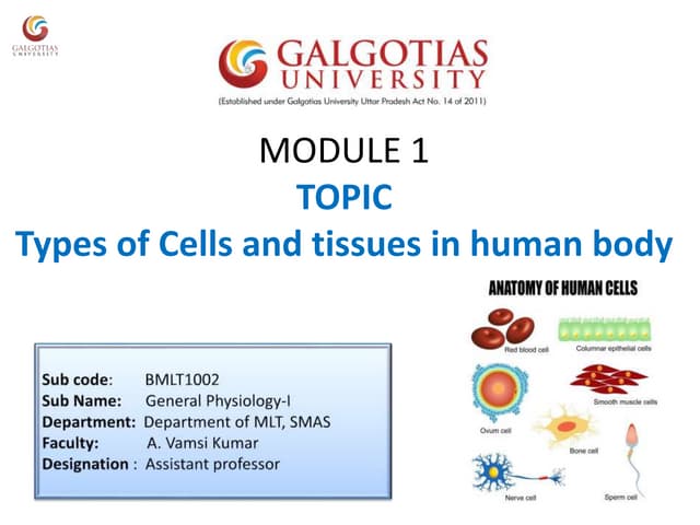Types of cells notes ppt | PPTX