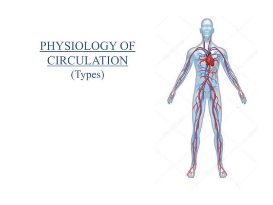 Circulatory System Ppt