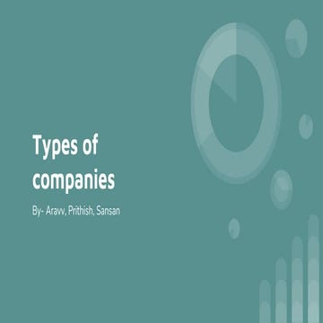 Types of companies (2).pptx