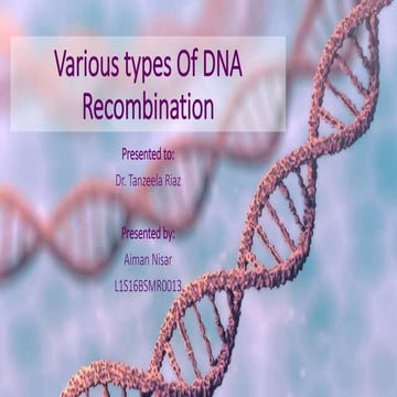 Types of dna recombination | PPTX