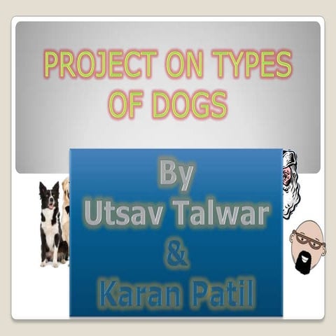 lkedklmwekddmllkdmlwwkeemqwlkmPresentation.pptx