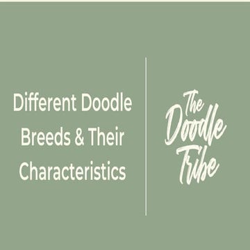 Types Of Doodle - The Doodle Tribe.pdf