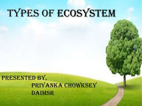 Ecosystem:Structure and Function | PPT