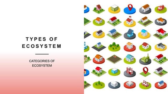 ecosystem concept of eco system,structure and function of ecosystem.pptx