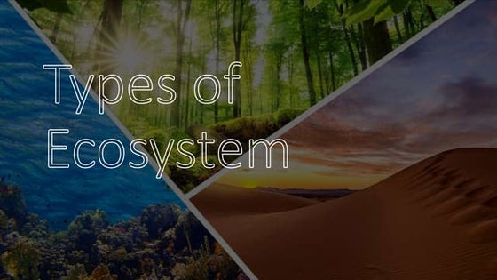 Types of Ecosystem | PPT