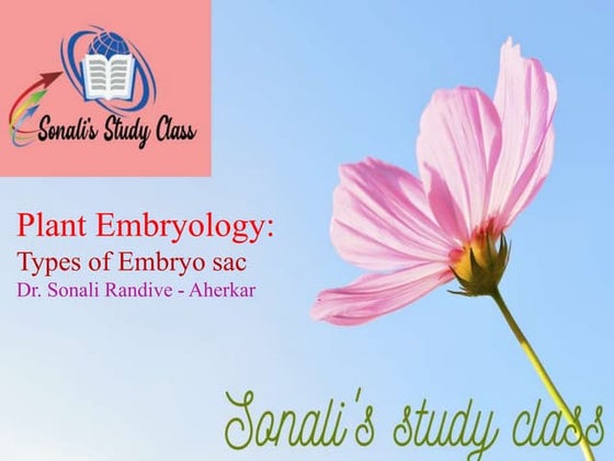 Types of embryo sac | PPTX | Biological Sciences | Science