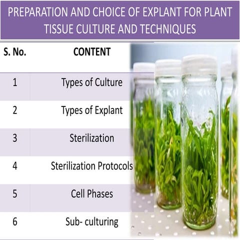 Plant Tissue Culture Explant