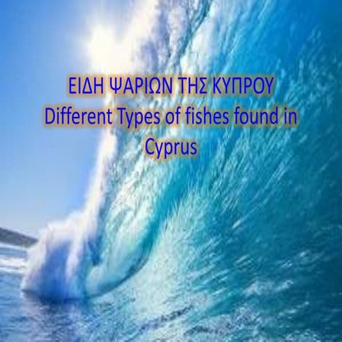 Types of fishes 3 from Cyprus | PPTX