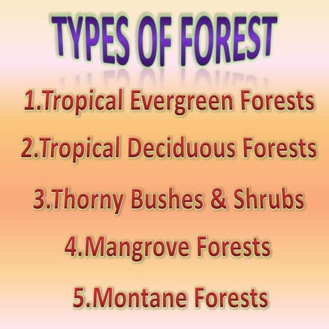 Types of forest in India | PPTX