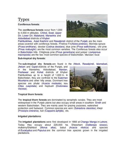 Forest society and colonialism | PPTX
