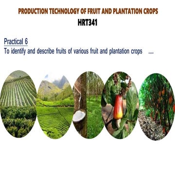 Types of fruit simple aggregate multiple | PPTX