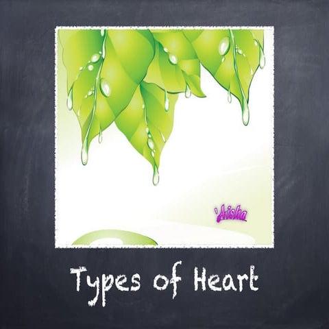 Types of Heart | PDF