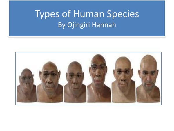 Human Origins Natalia Rosalía