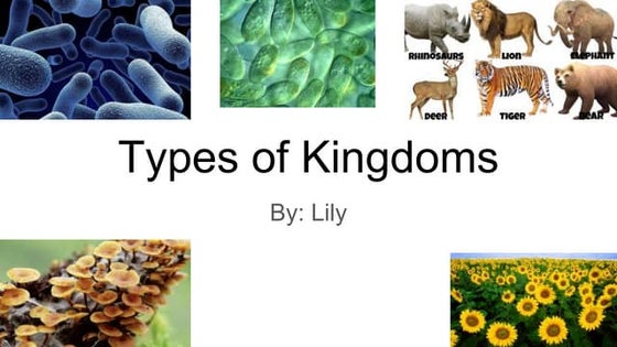 LIVING THINGS CLASSIFICATION UNIT 3 YEAR 3 | PPT