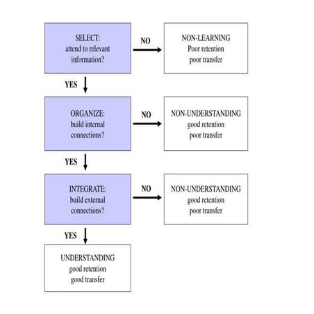Types Of Learners | PDF