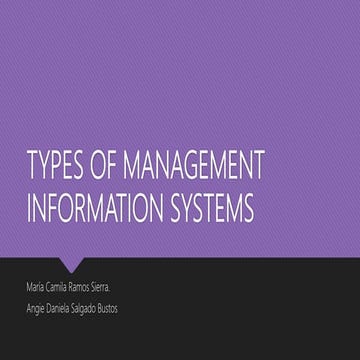 Types of management information systems | PPTX