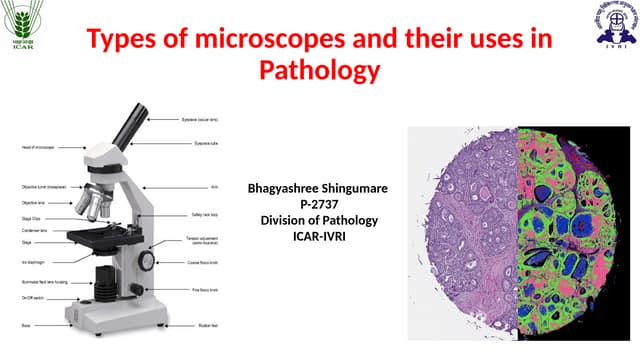 Principles and application of light microscopy | PPTX