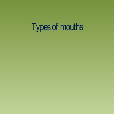 Types of mouths | PPT