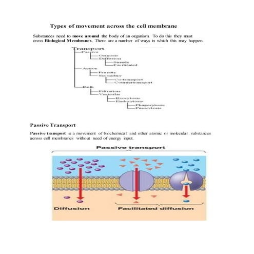 Types of movement across the cell membrane | PDF