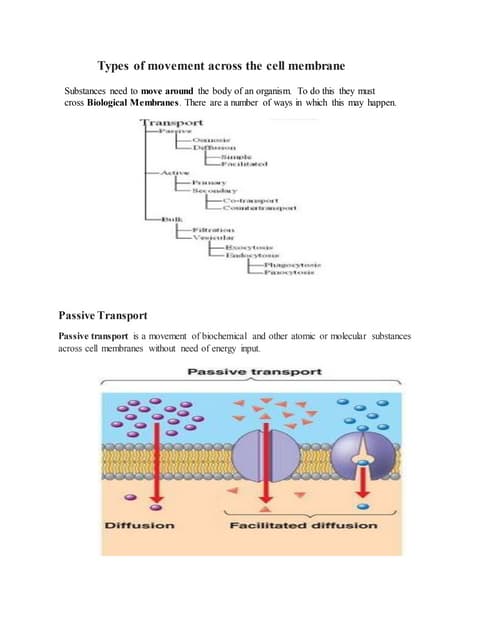 Diffusion | PPTX | Chemistry | Science