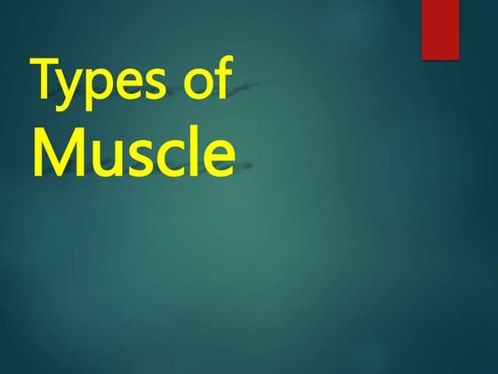 muscles and its types. pptx | PPTX