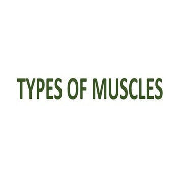 Types of muscles | PPT